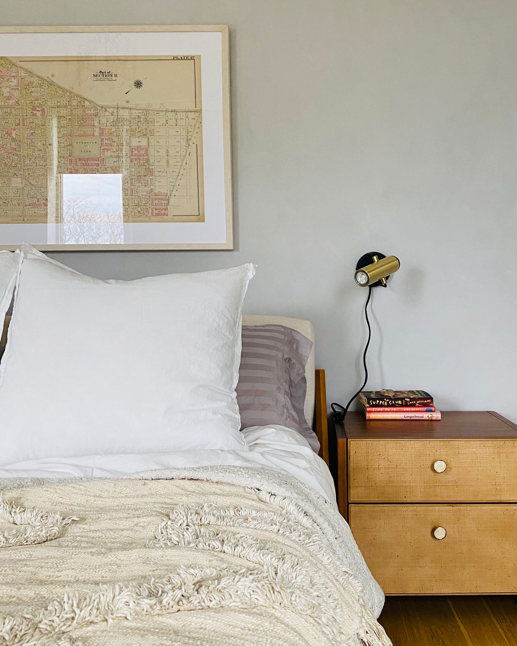 Lime Wash Series – Portola Paints